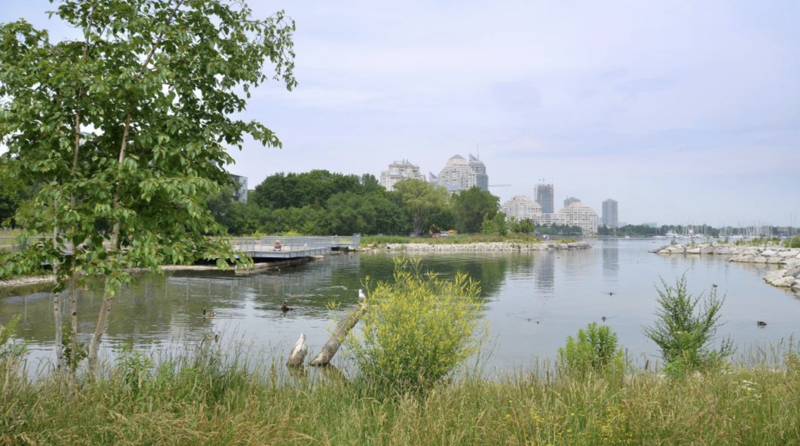 Etobicoke Photo Locations | Amanda Soriano Photography